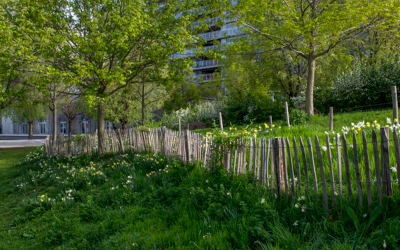 Parc Clichy Batignolles Martin Luther King - Ville de Paris