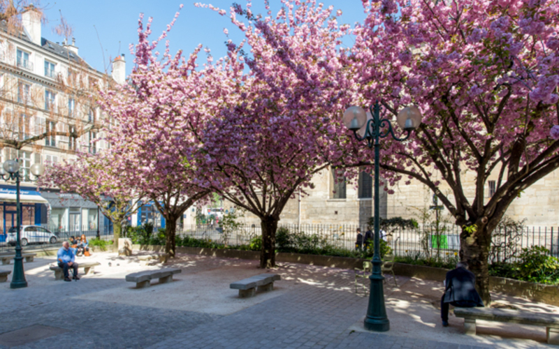 Square Gabriel Pierné - Ville de Paris