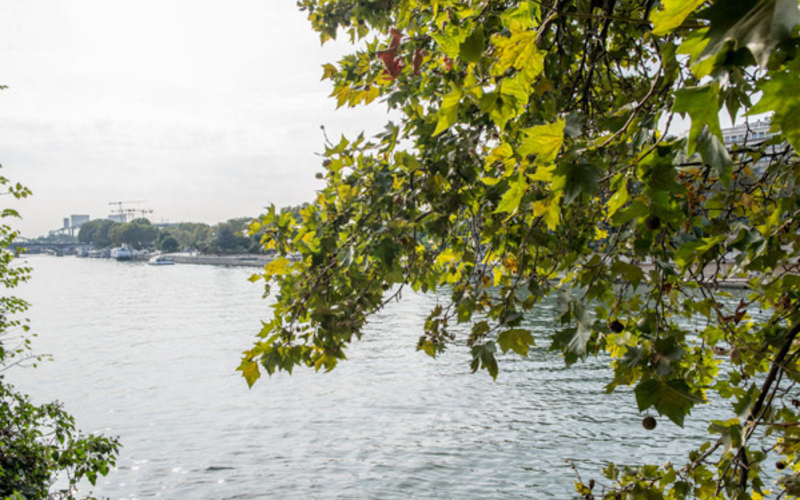 Square Barye - Ville de Paris