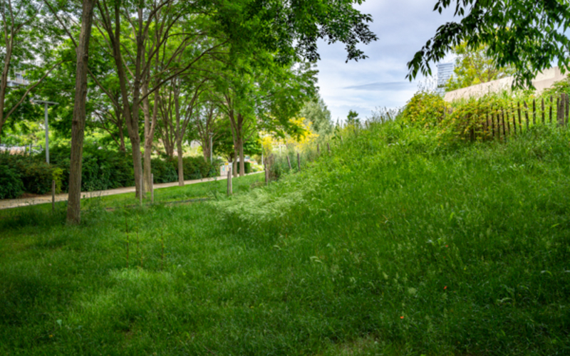 Parc Clichy Batignolles Martin Luther King - Ville de Paris