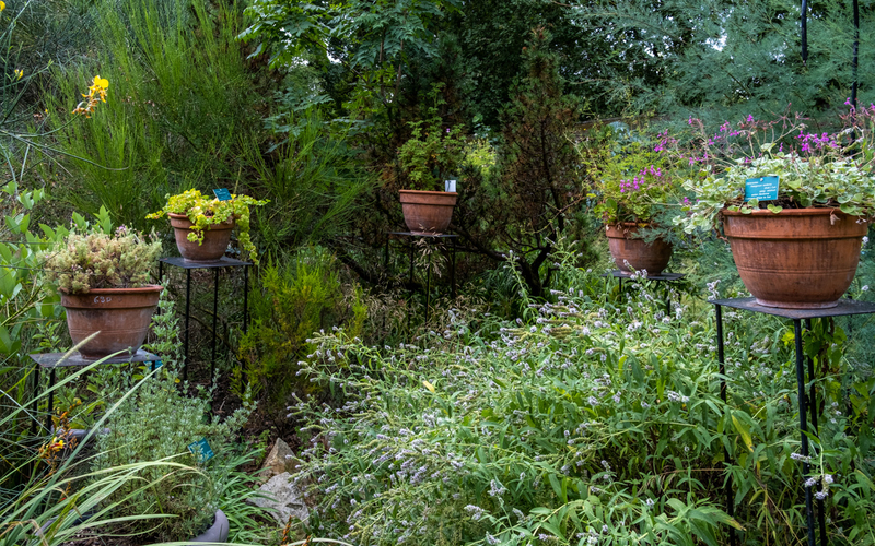 Parc Floral de Paris - Ville de Paris