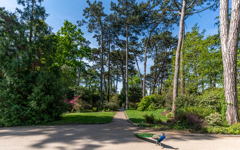 Parc Floral de Paris - Ville de Paris