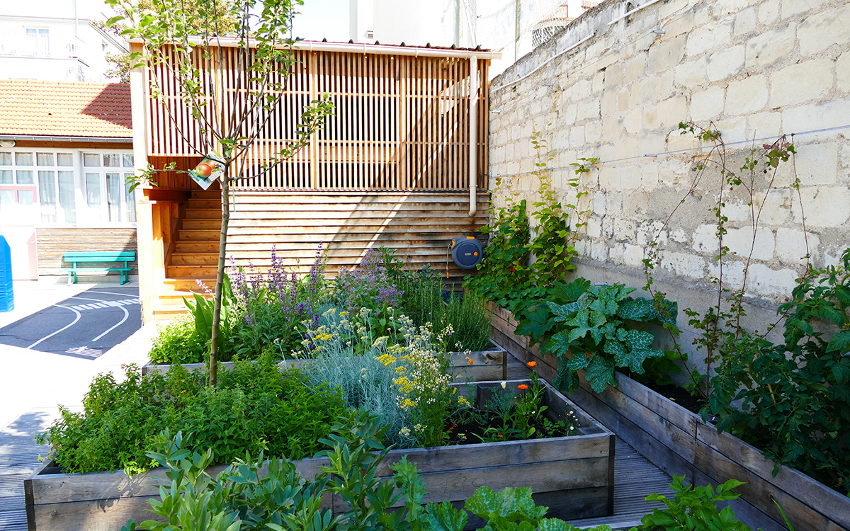 Les cours Oasis - Ville de Paris