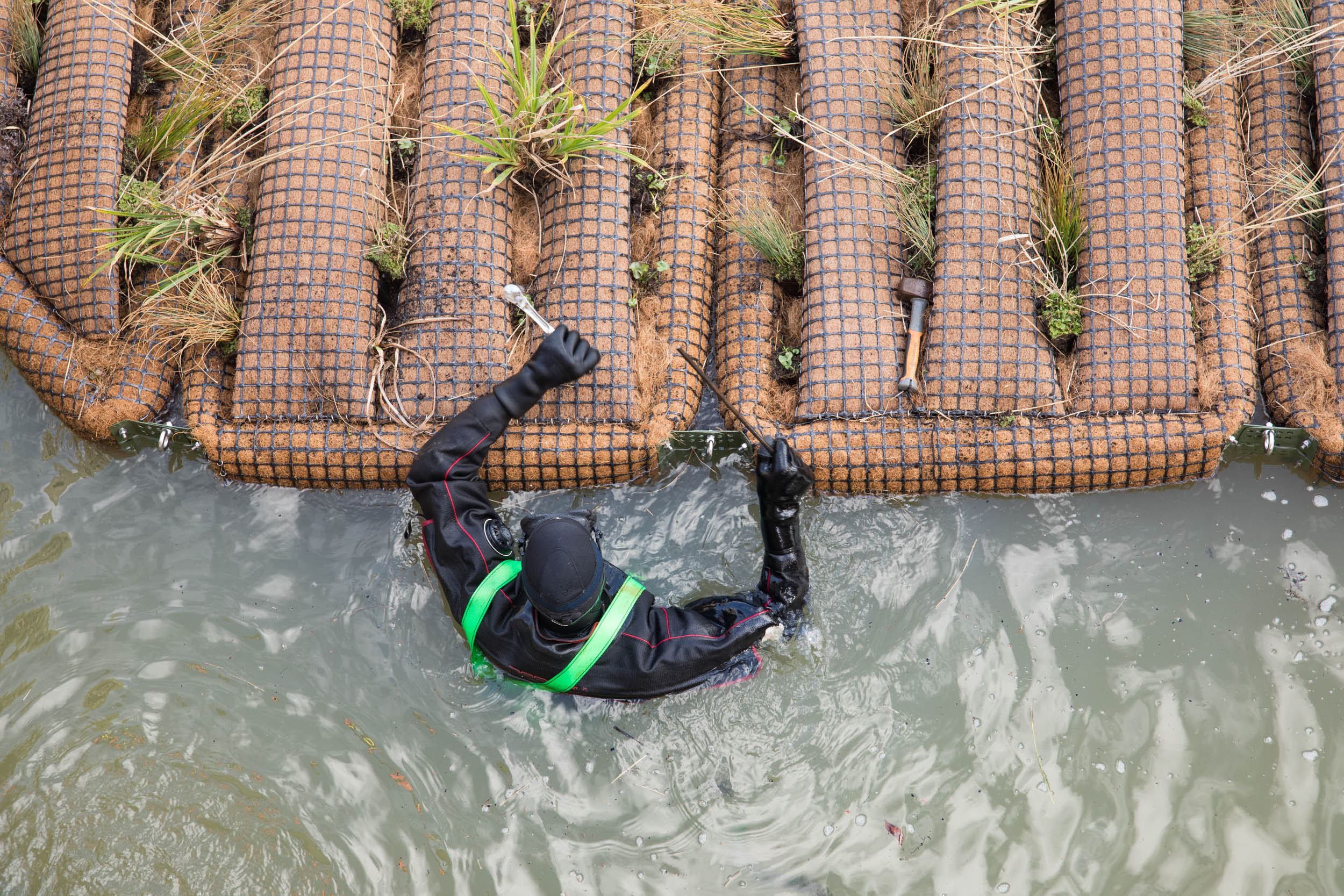 Un nouveau radeau végétalisé sur le canal de l'Ourcq - Ville de Paris