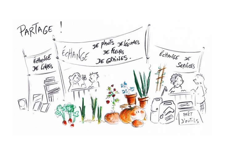 Les cours oasis - Ville de Paris