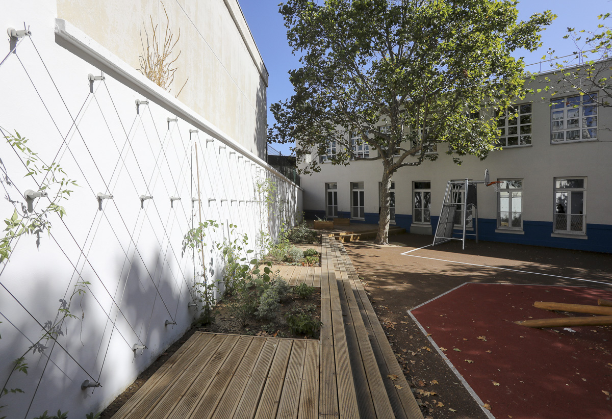 Les cours oasis - Ville de Paris