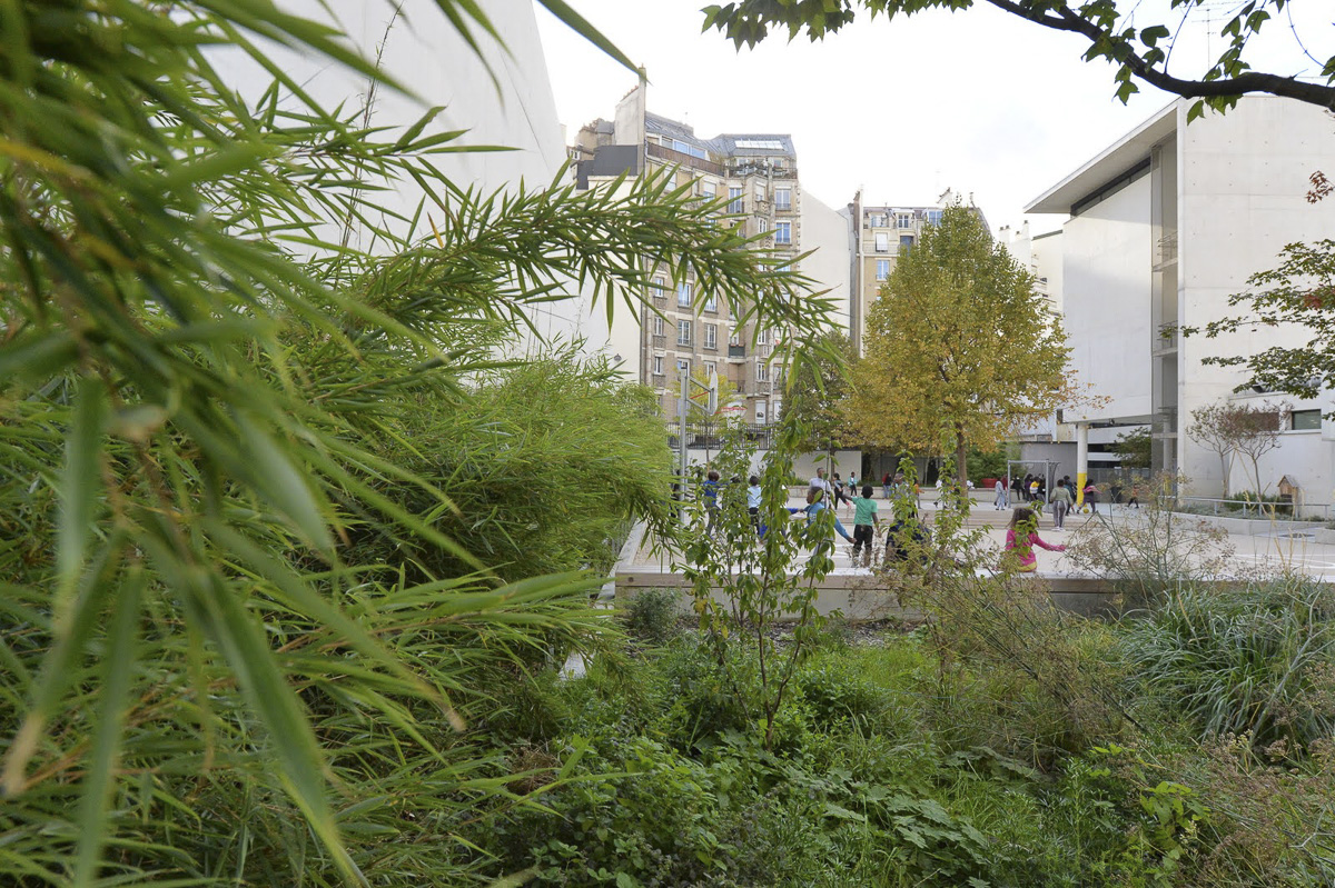 Les cours oasis - Ville de Paris