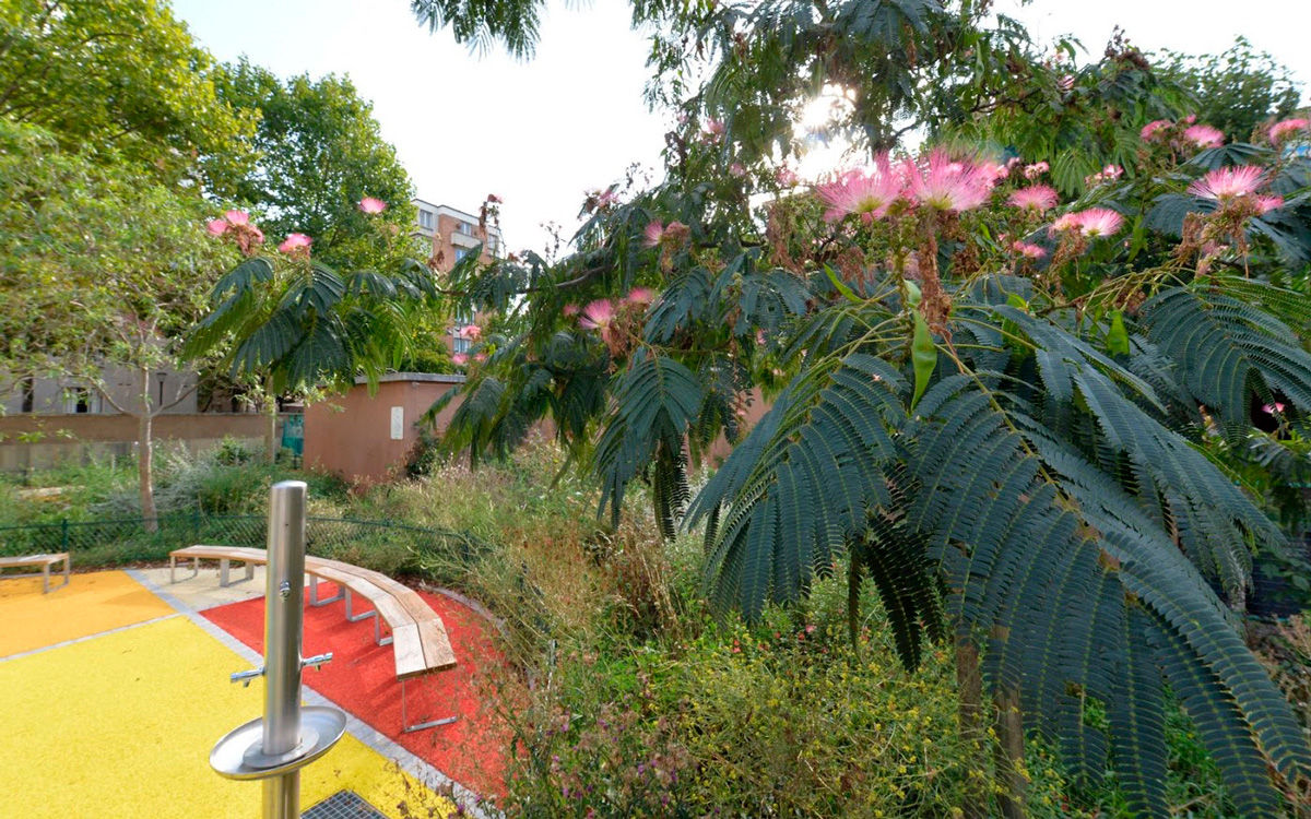 Les cours Oasis - Ville de Paris