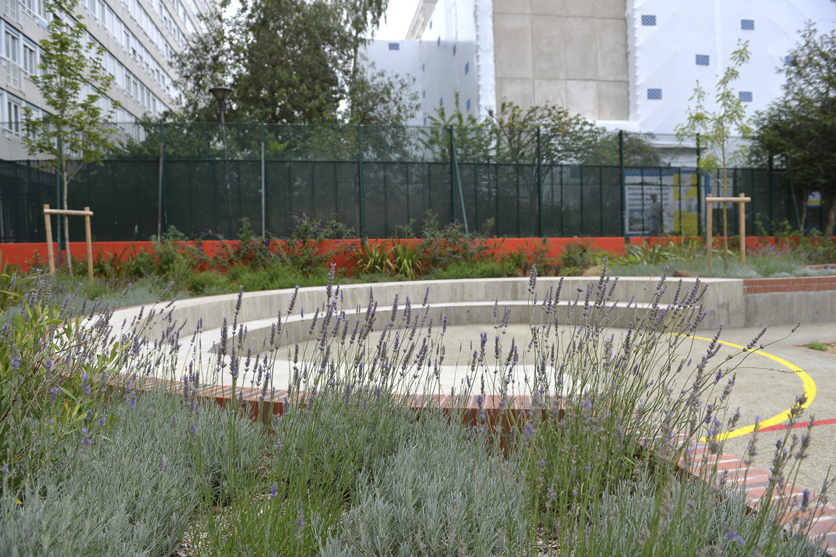 Les cours oasis - Ville de Paris