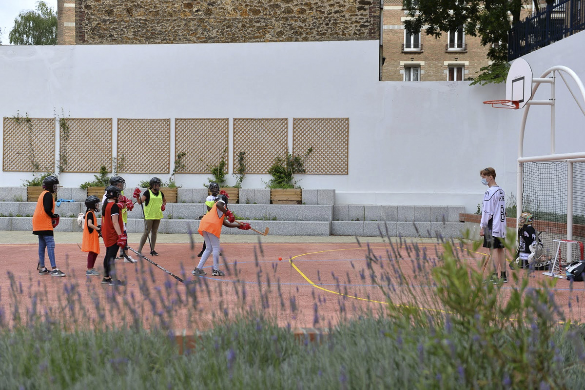 Les cours oasis - Ville de Paris