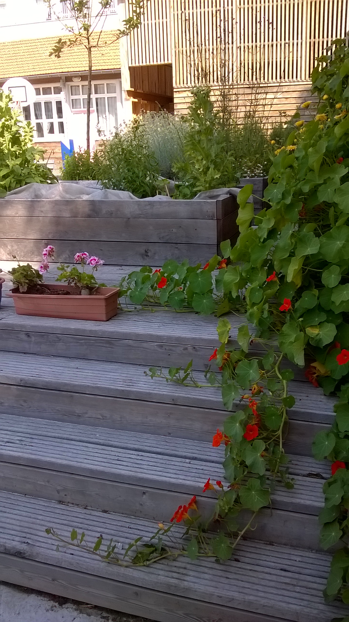 Avec les jardins pédagogiques, la nature est dans - Mairie du 20ᵉ