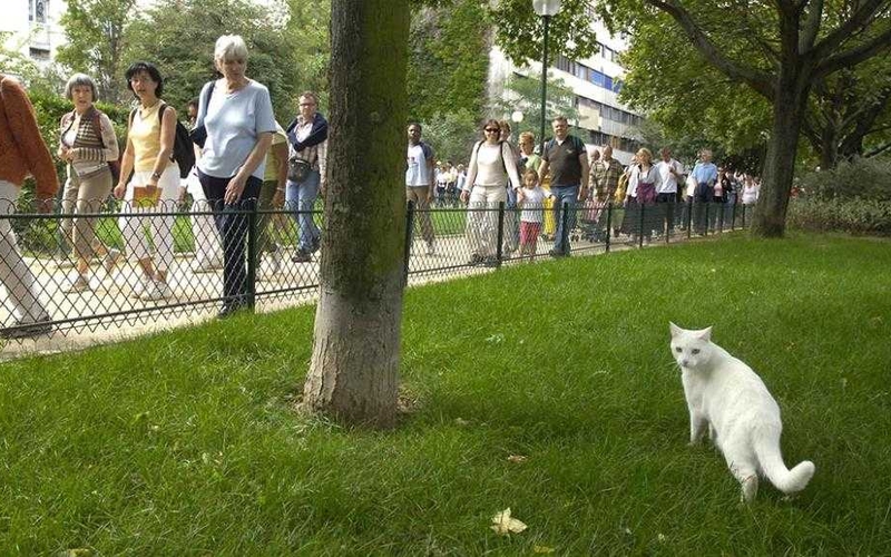 Sport - Que faire à Paris - Ville de Paris