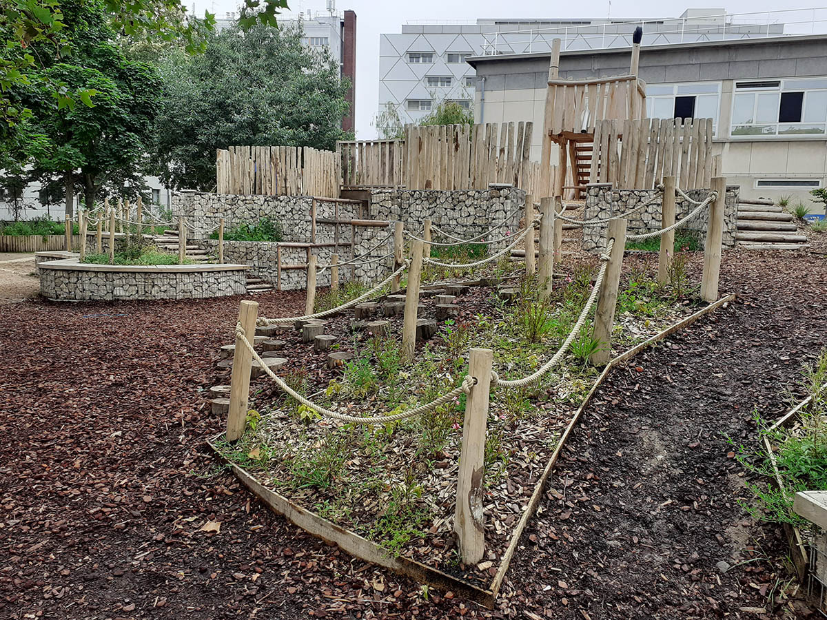 Les cours oasis - Ville de Paris