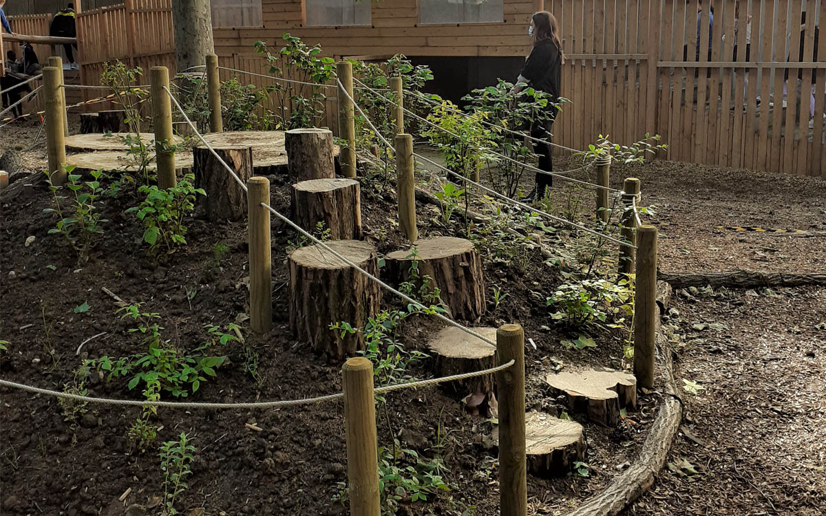 Les cours oasis - Ville de Paris