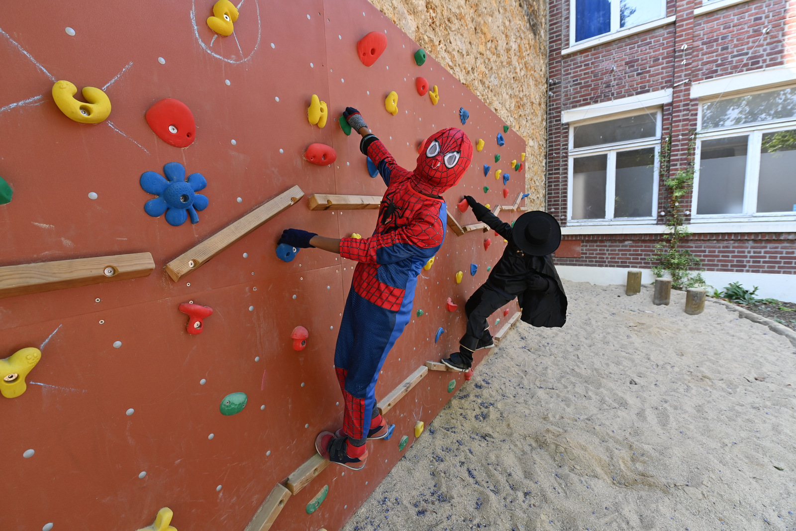 Les cours oasis - Ville de Paris