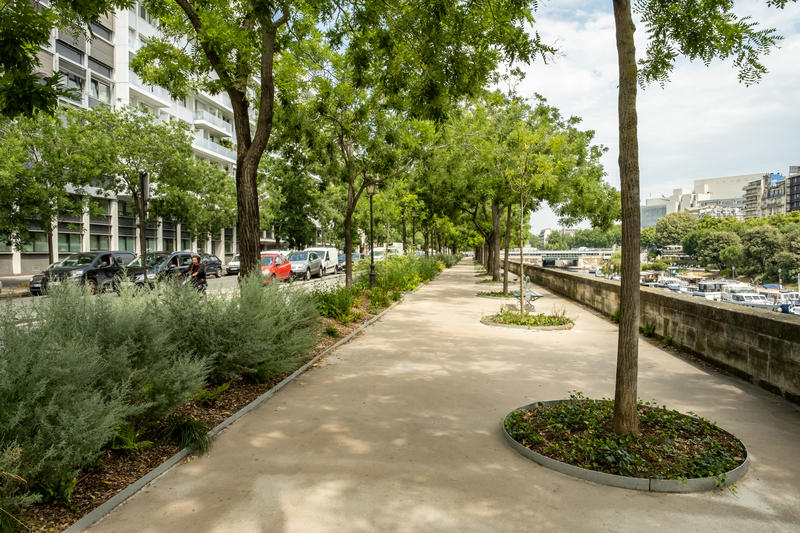 Une nouvelle promenade plantée Boulevard - Mairie de Paris Centre
