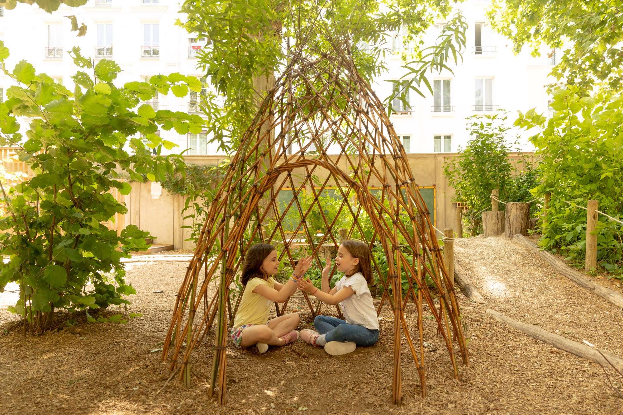 Les cours oasis - Ville de Paris