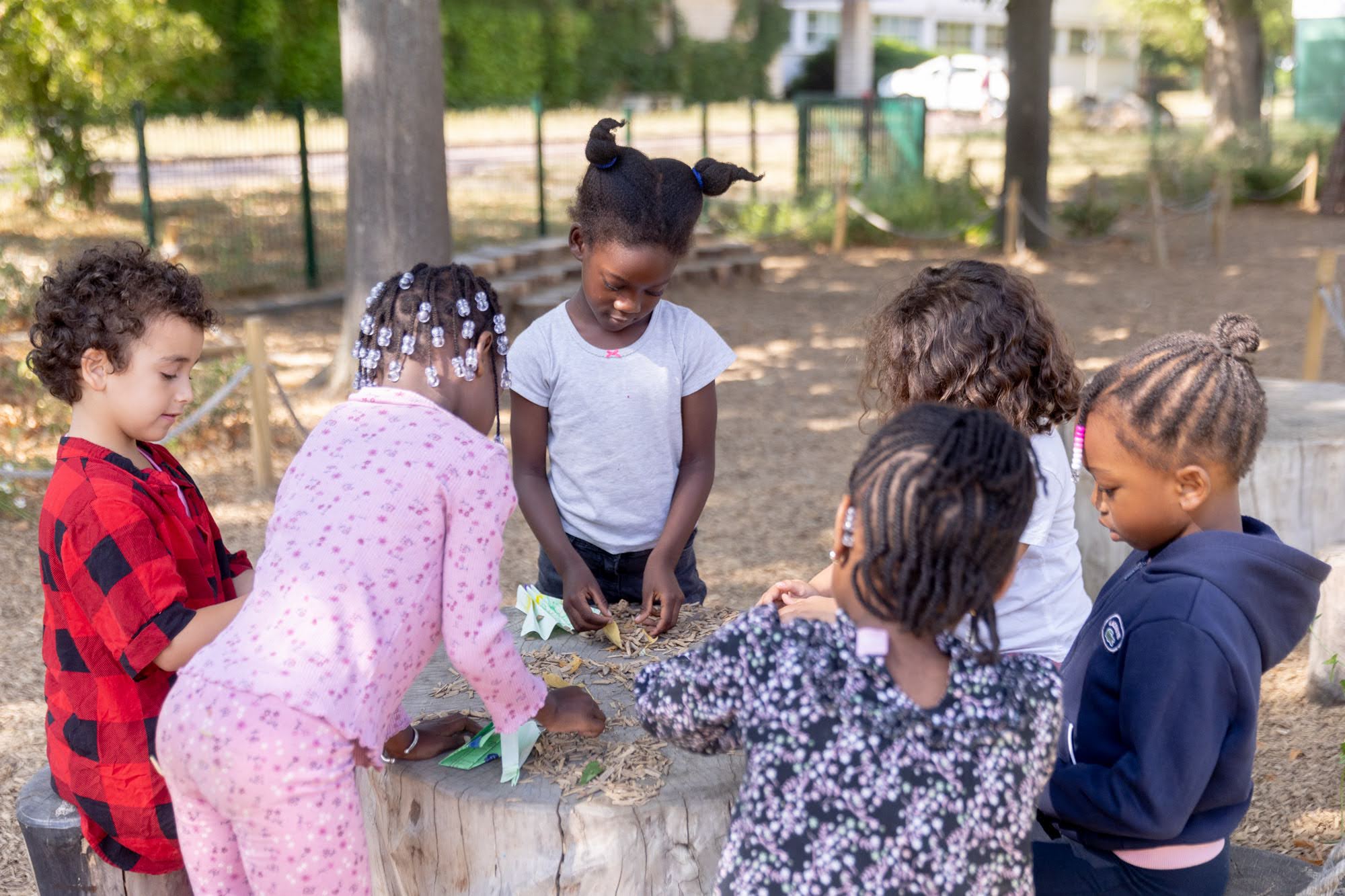 Les cours oasis - Ville de Paris