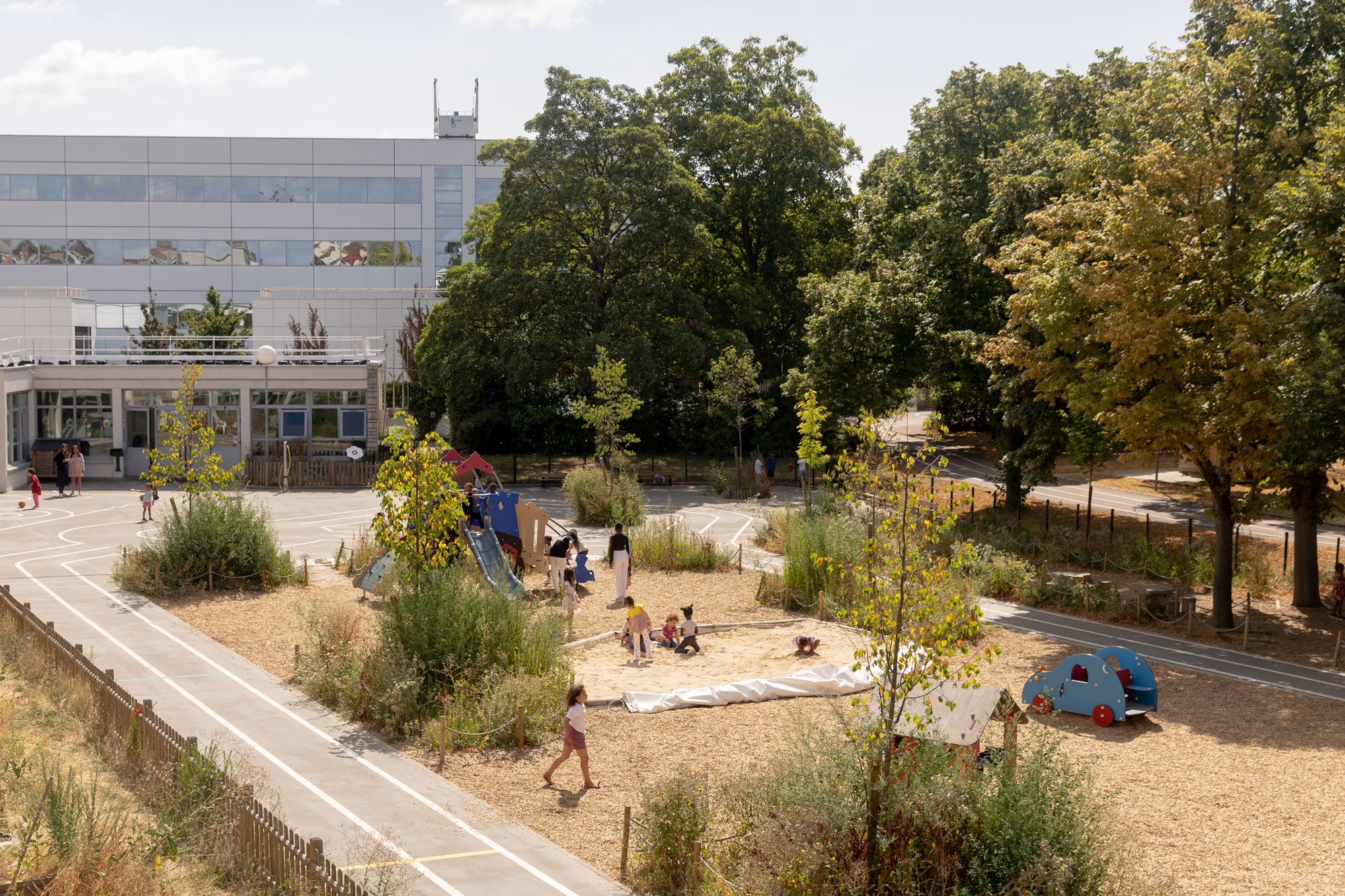 Les cours oasis - Ville de Paris
