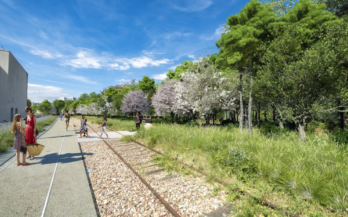 Les premières images du bois de Charonne en vidéo - Ville de Paris