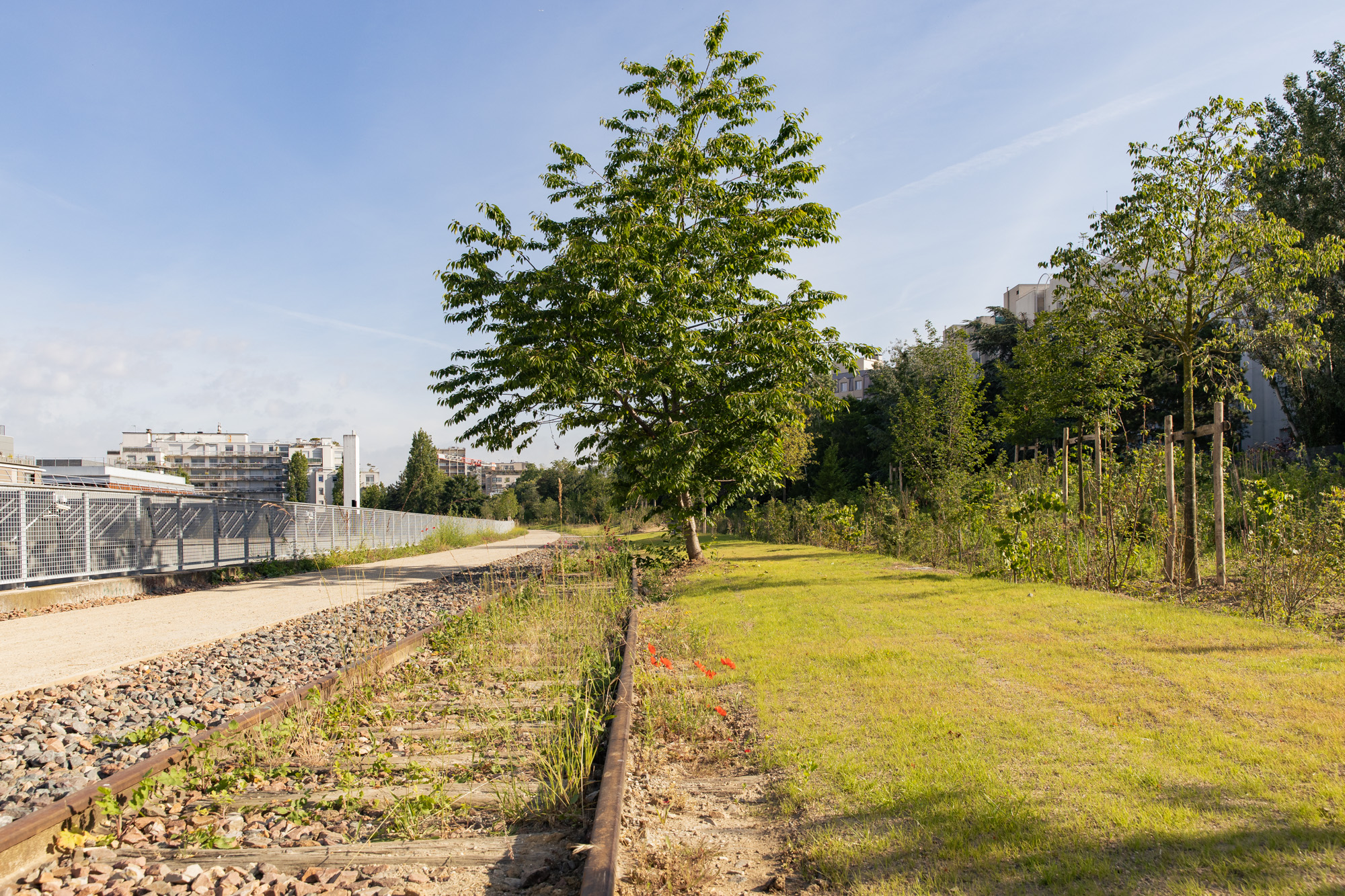 Sur la petite ceinture, profitez du bois de - Ville de Paris
