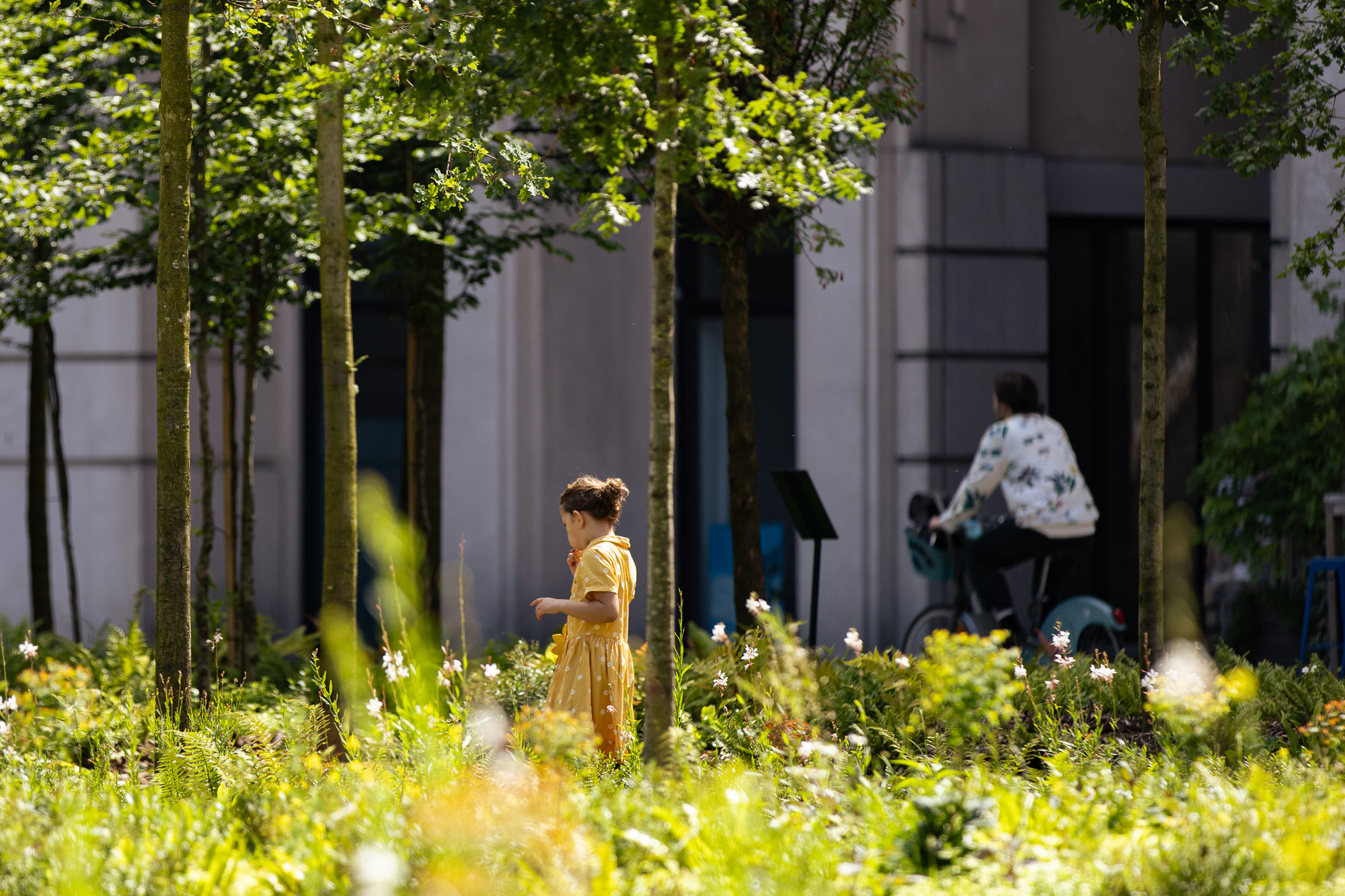 Paris plus vert : la végétalisation s'accélère, la - Ville de Paris