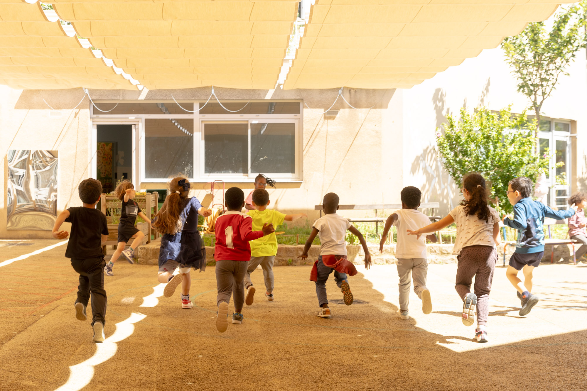 Les cours oasis - Ville de Paris