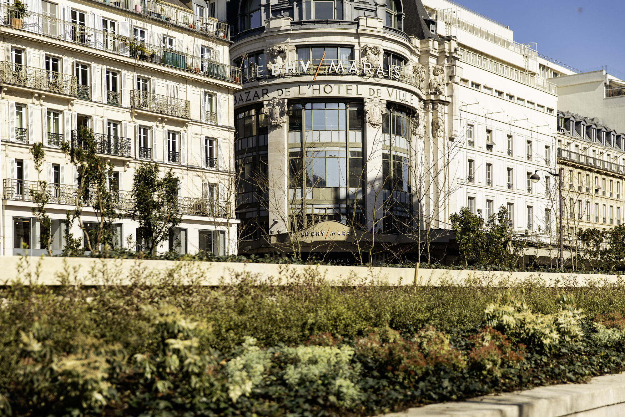 La forêt urbaine de l'Hôtel de Ville prend vie ! Ce - Ville de Paris