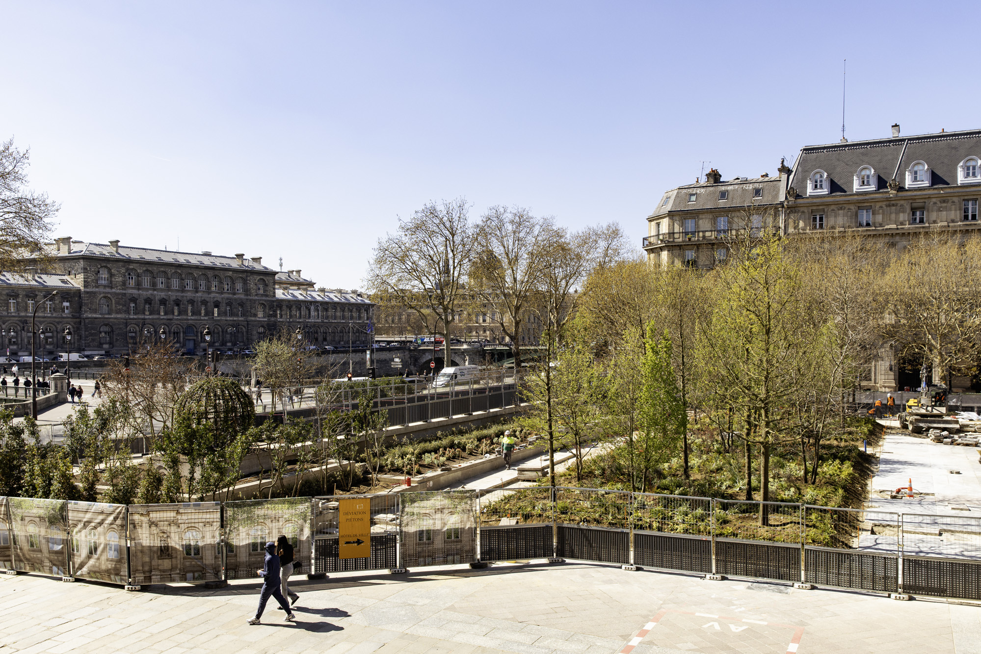 La forêt urbaine de l'Hôtel de Ville prend vie ! Ce - Ville de Paris